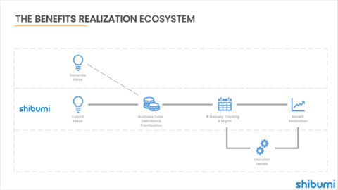 The Importance of Benefits Realization| Shibumi