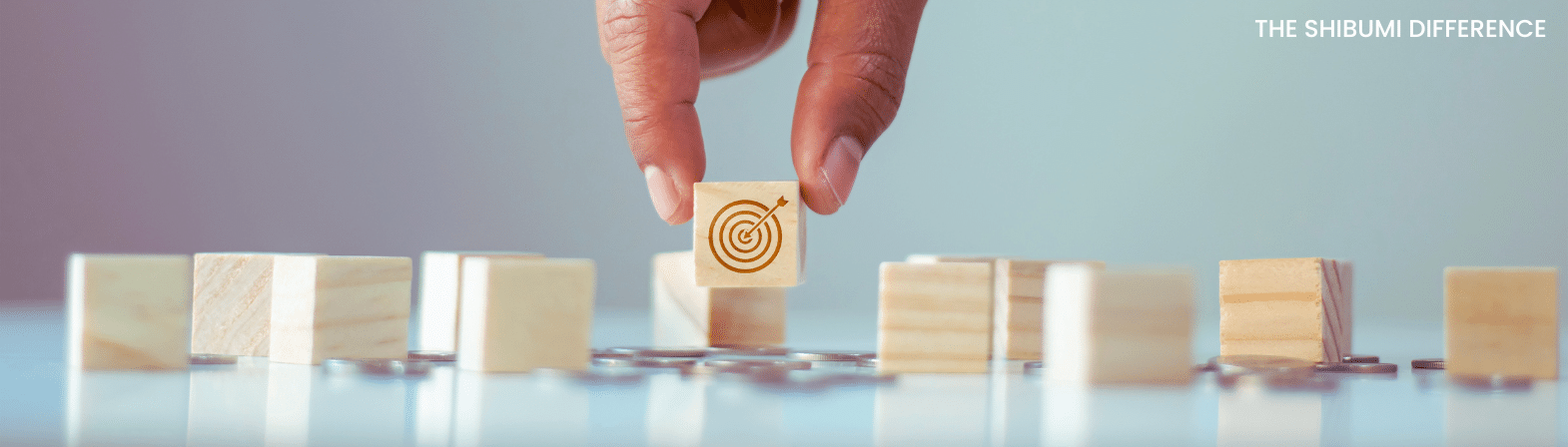 Mastering the Art of Objective-Setting with Shibumi – Shibumi