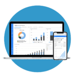 Why Shibumi? The Strategic Portfolio Management Software